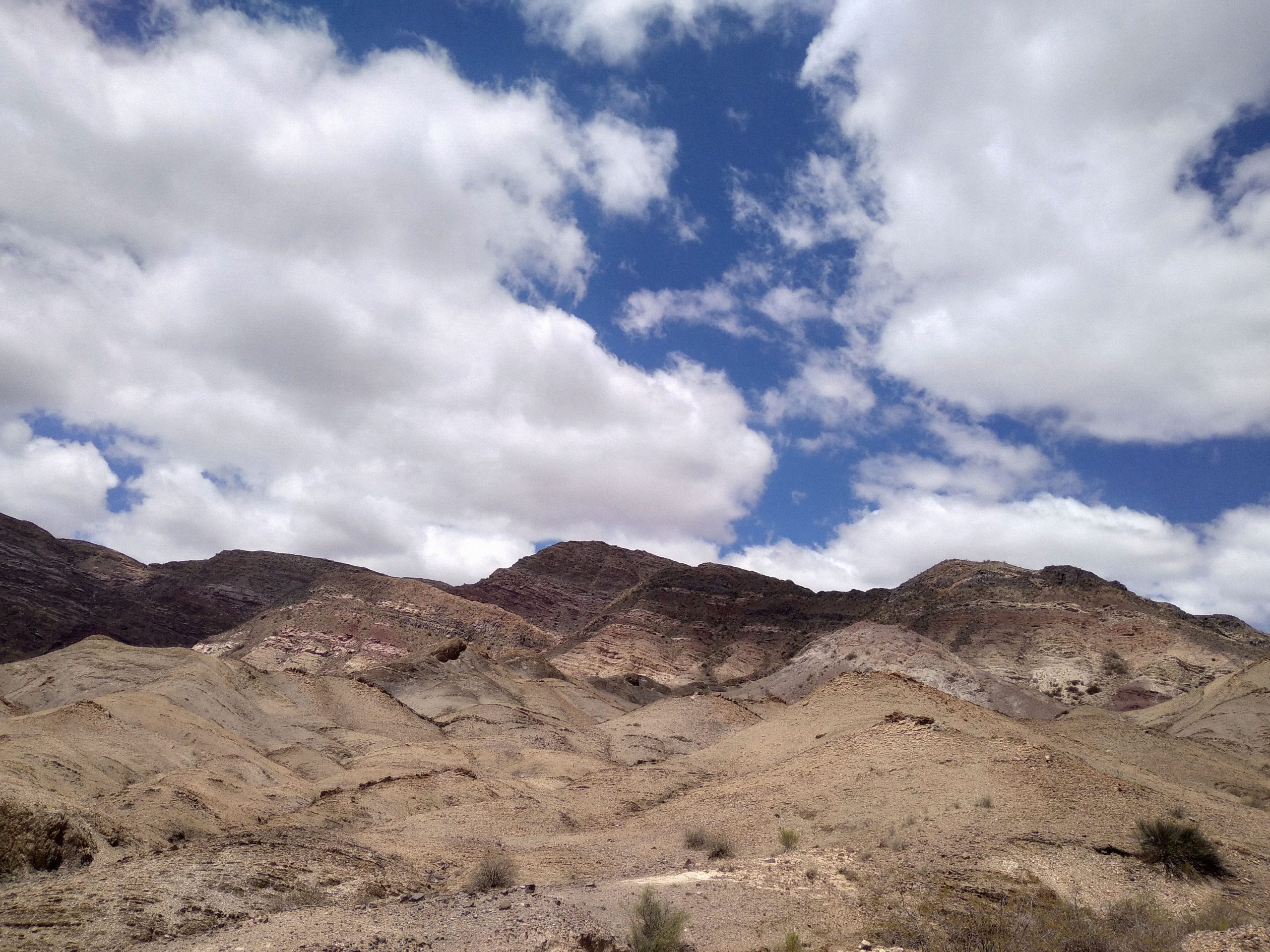 12. Daño nuevo - Motor—Bread