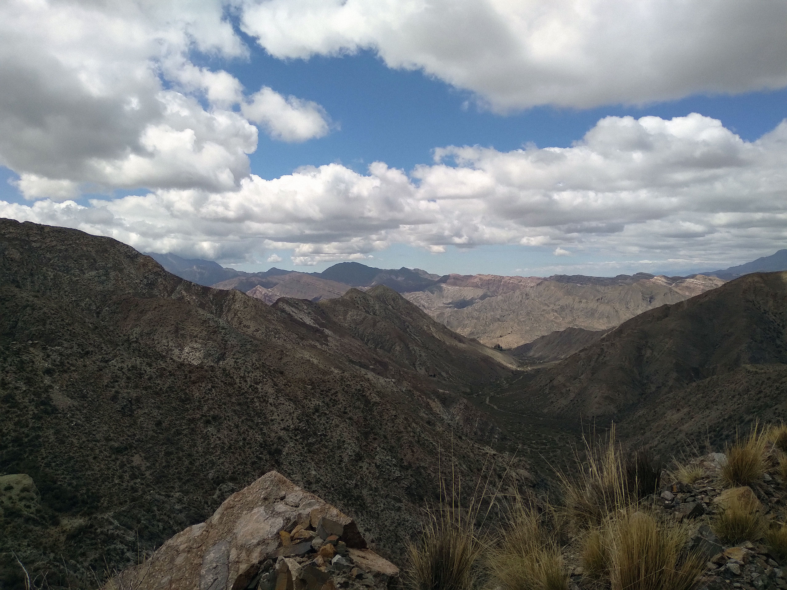 12. Daño nuevo - Motor—Bread